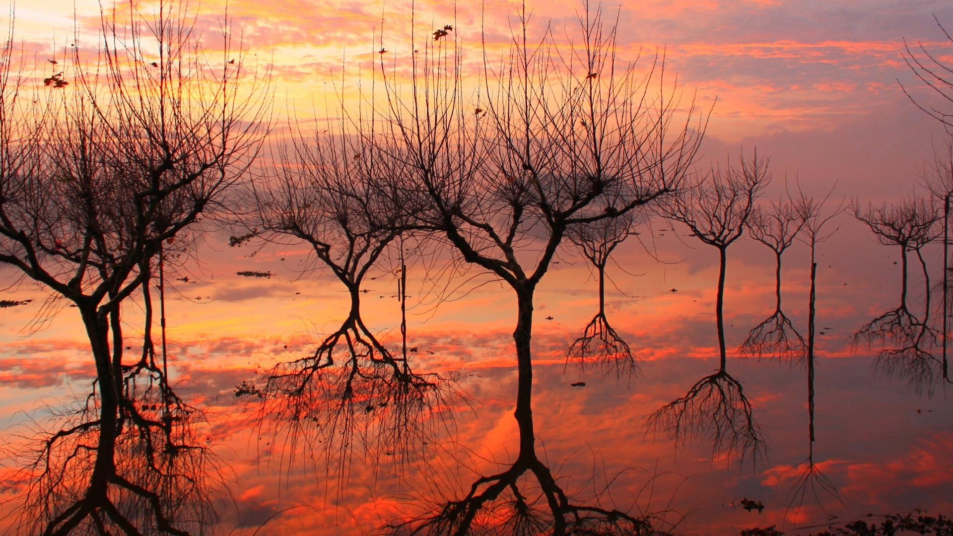 Dusk Mirage – Memory Reflection